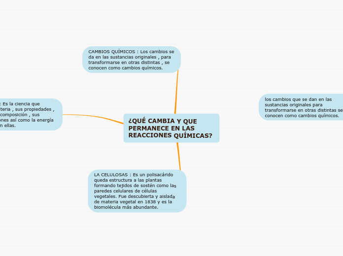 ¿quÉ Cambia Y Que Permanece En Las Reaccio Mind Map